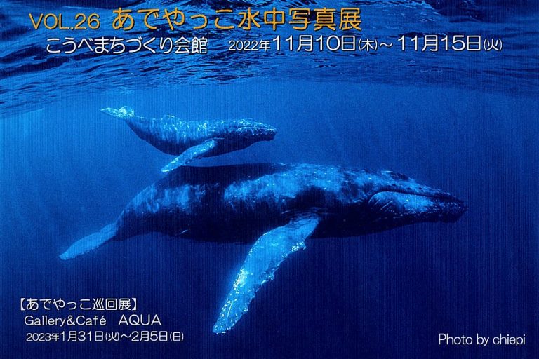「あでやっこ巡回展」開催 もっと和歌山／和歌山タウン情報アガサス・ビィ M To Wオフィシャルサイト