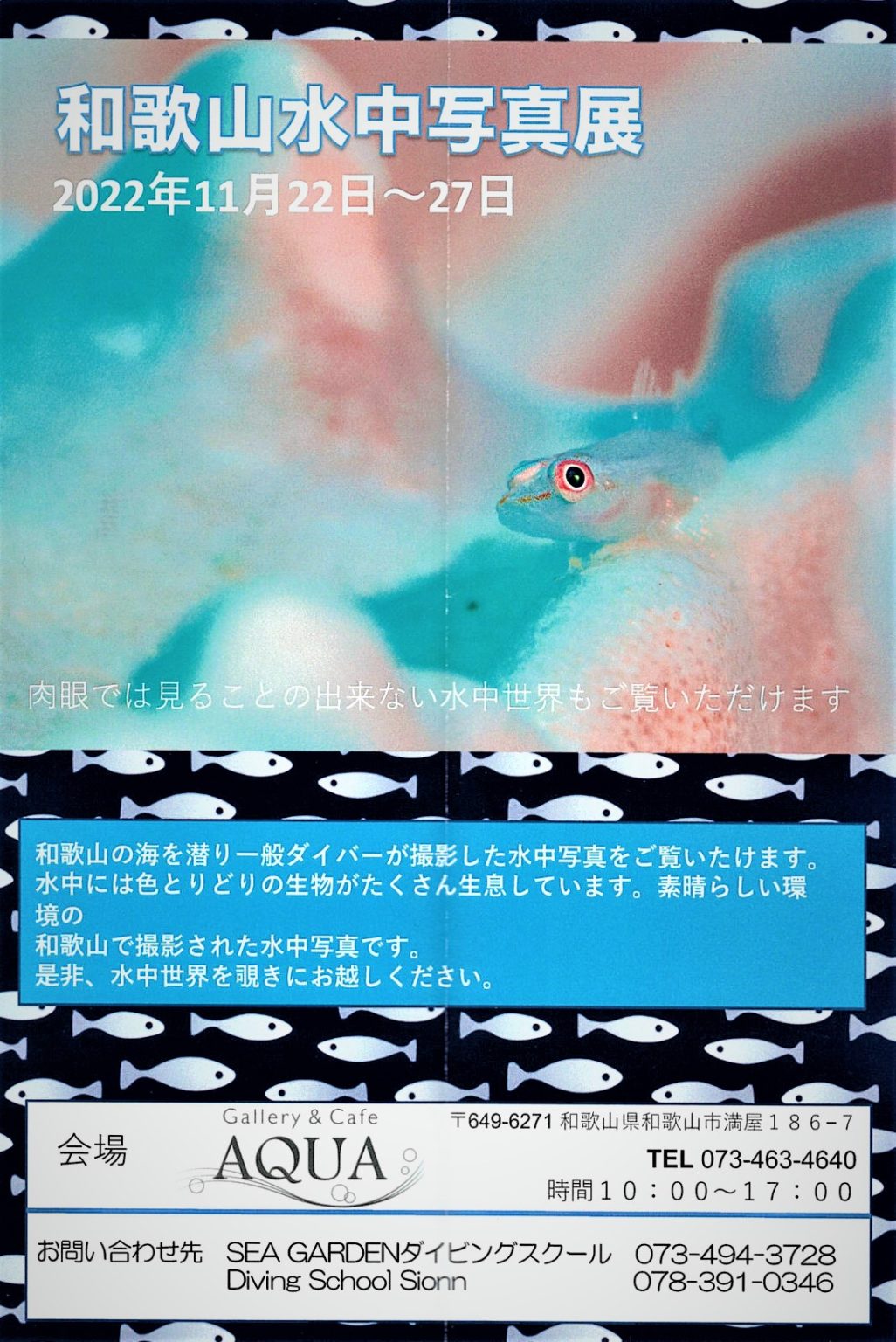 「和歌山水中写真展」開催 | もっと和歌山／和歌山タウン情報アガサス・ビィ M to Wオフィシャルサイト